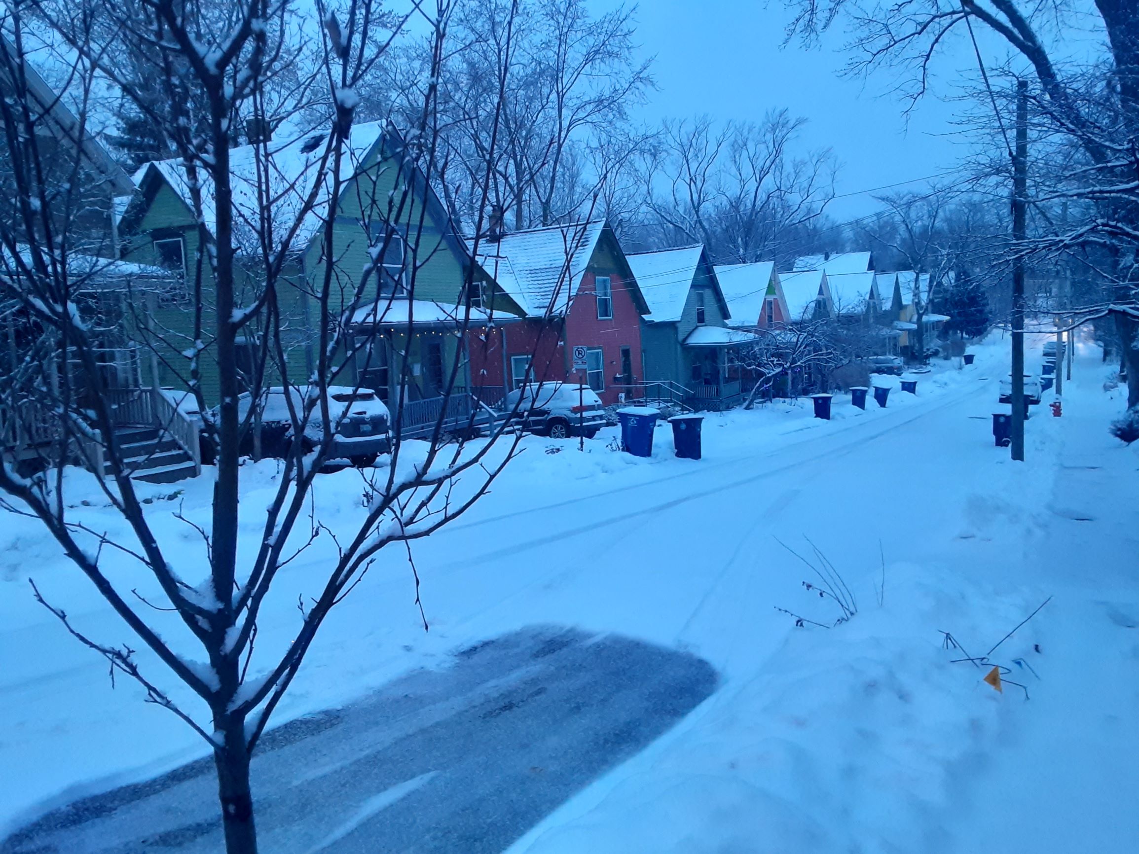 Ann Arbor: it's complicated - Youth Journalism International