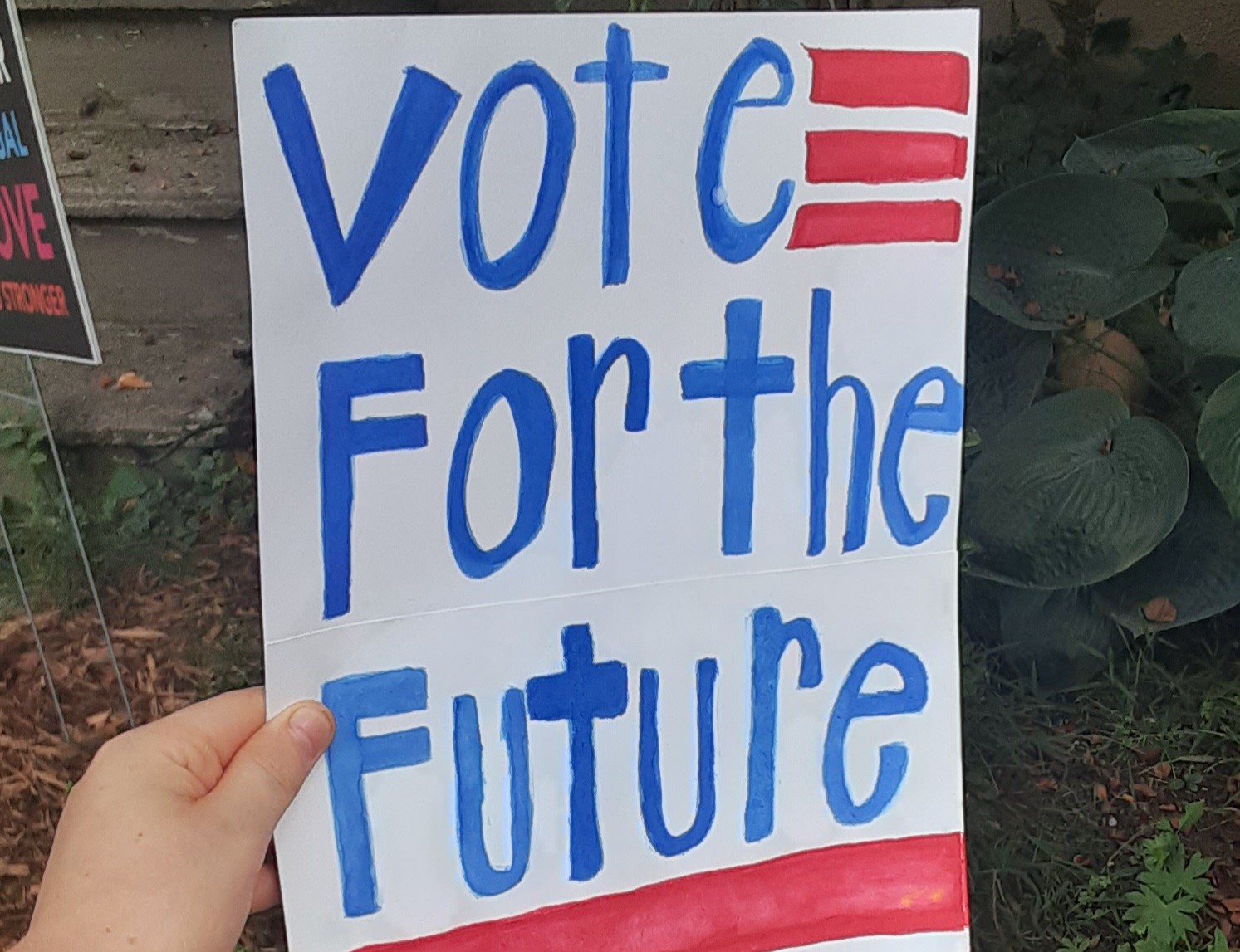 When youth vote, they impact elections - Youth Journalism International