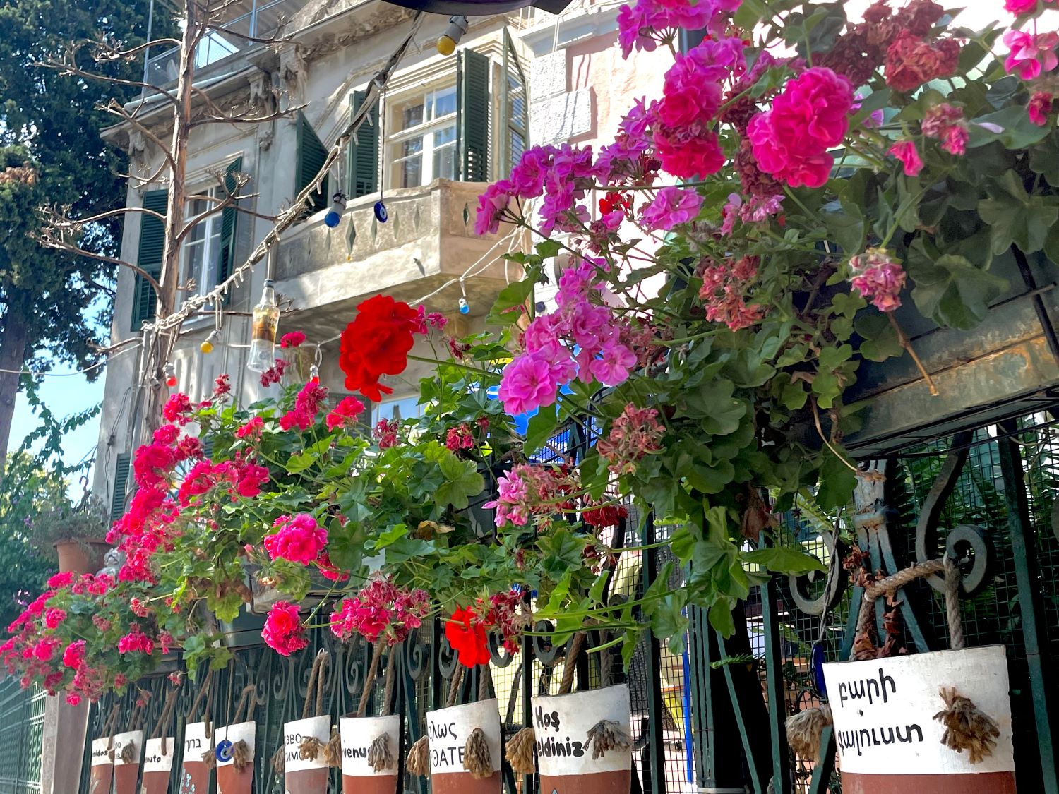 Take time to notice the Turkish flowers - Youth Journalism International