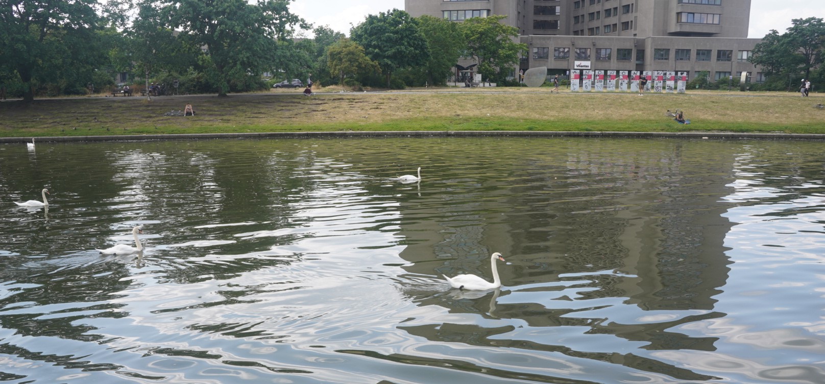 Photo Essay: Browsing in Berlin - Youth Journalism International