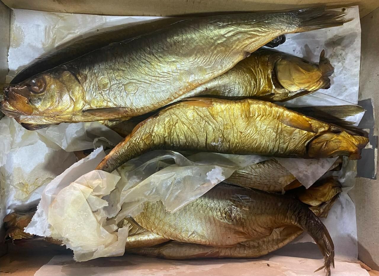 Young Egyptians flee from fetid fesikh - Youth Journalism International